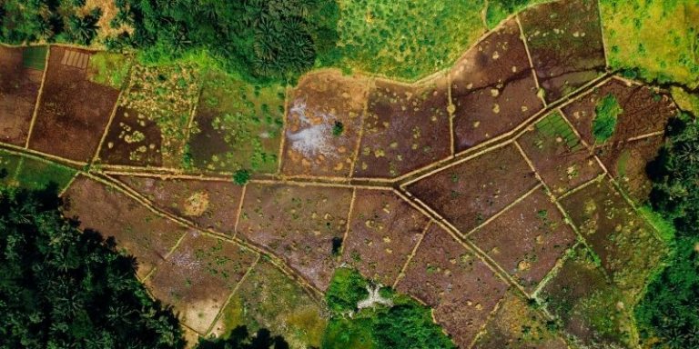 Hisseli Arazilerde Rızai Taksim Nedir? Nasıl Yapılır? 2025